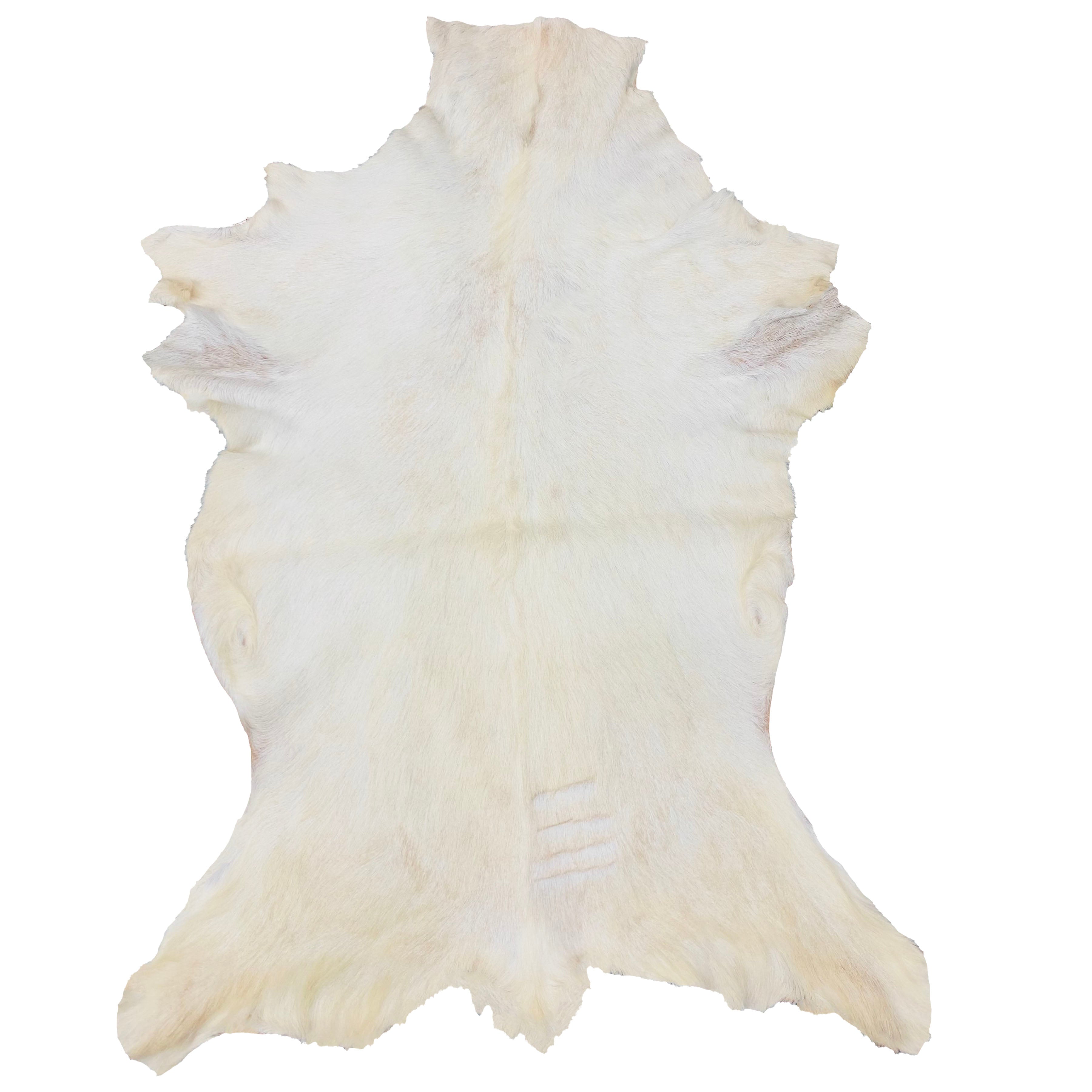 Goatskin Rug GR-112 50x35 INCH – Tanbark Leather